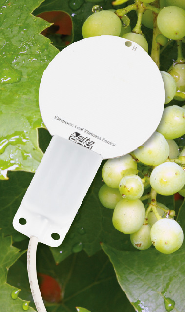 HUMEDAD – Technical Service Group S.A.C.